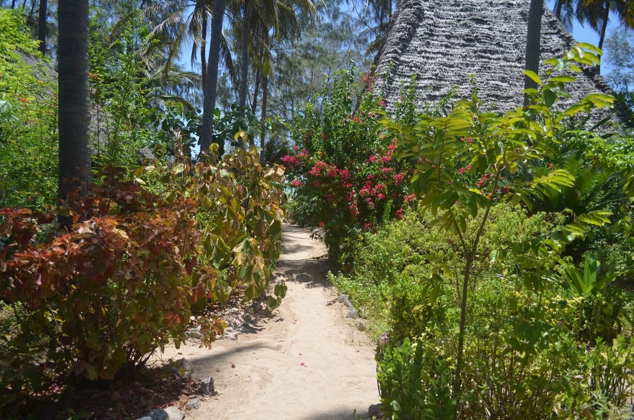 NDAME BEACH LODGE 3 * | Coral Travel (Tanzānija, Zanzibar South East Coast)